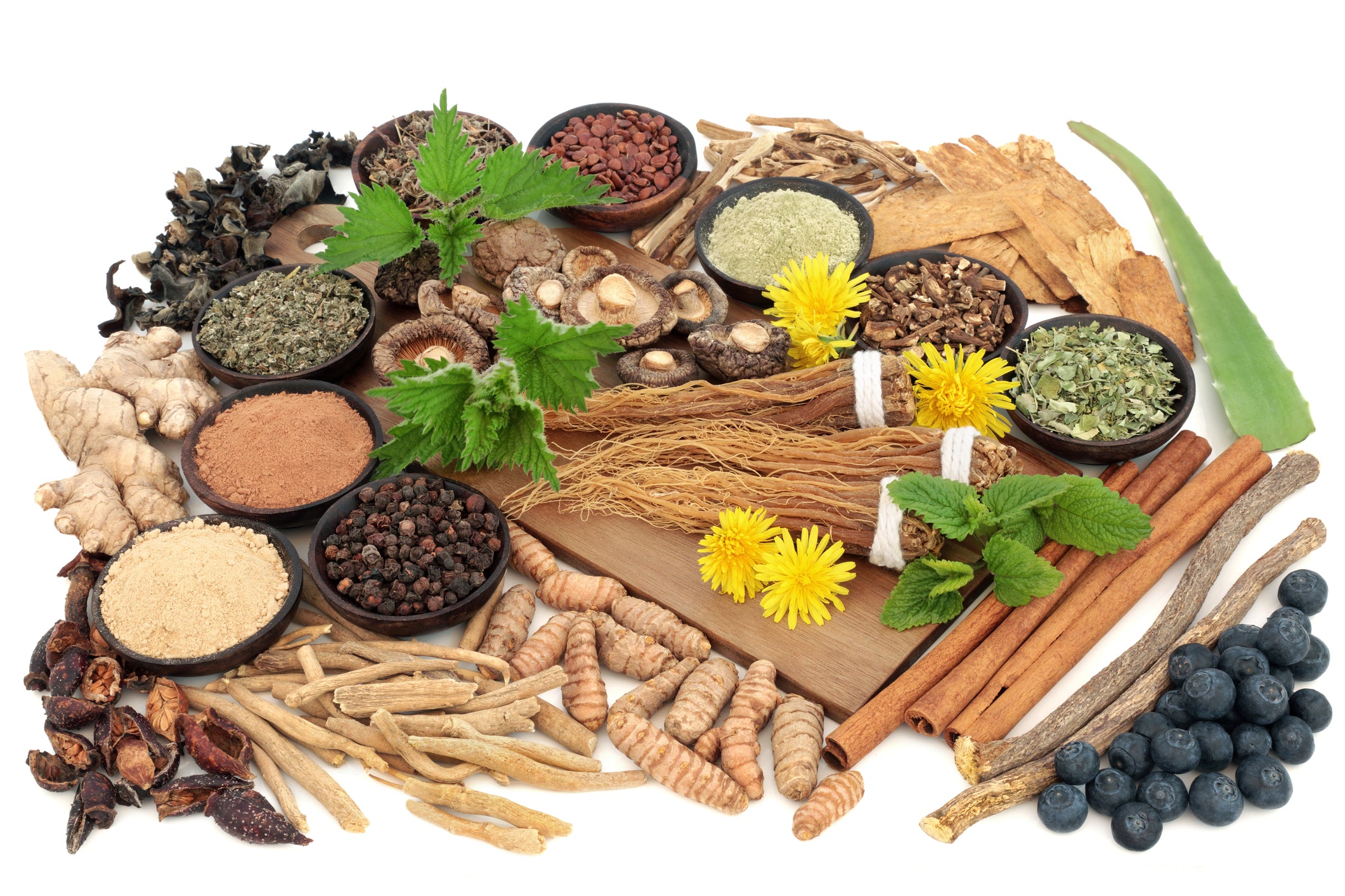 Unlock the Power of Adaptogens: Your Key to a Healthier You – ReviTEAlize